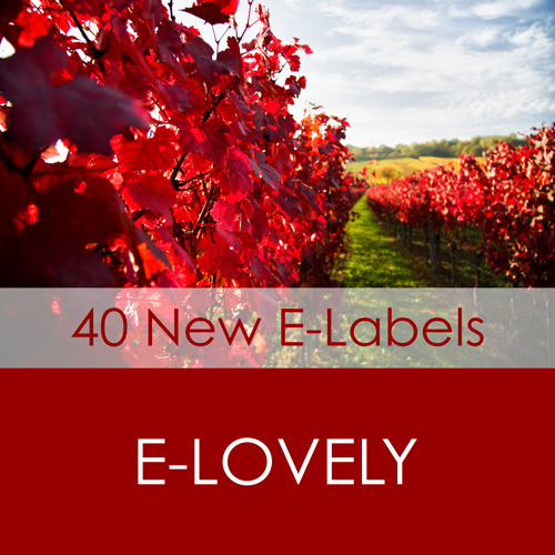 Prices e-labels wines for digital EU labels with QR code